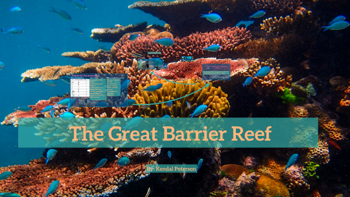 Marine Ecosystem: The Great Barrier Reef by Kendal Peterson on Prezi