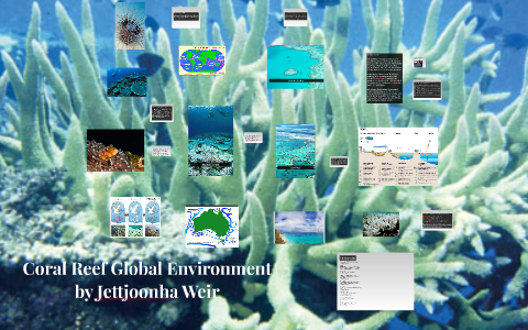 Geography Assignment Coral Reefs by jett weir on Prezi