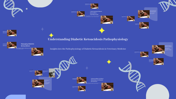 Understanding Diabetic Ketoacidosis in Veterinary Medicine by Garrett ...