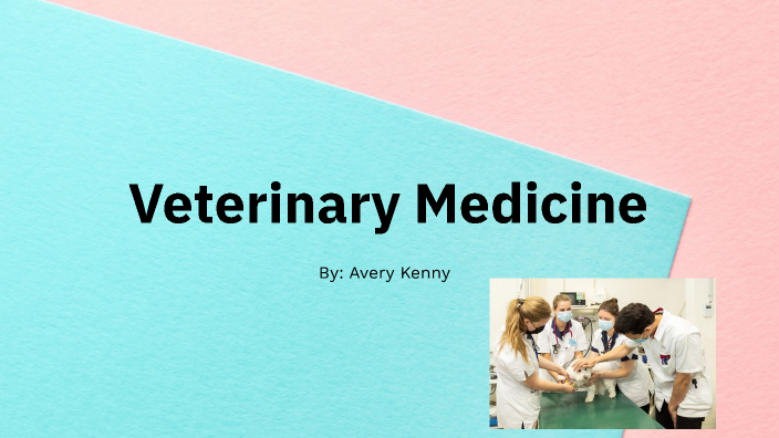 Veterinary Medicine By Avery K On Prezi