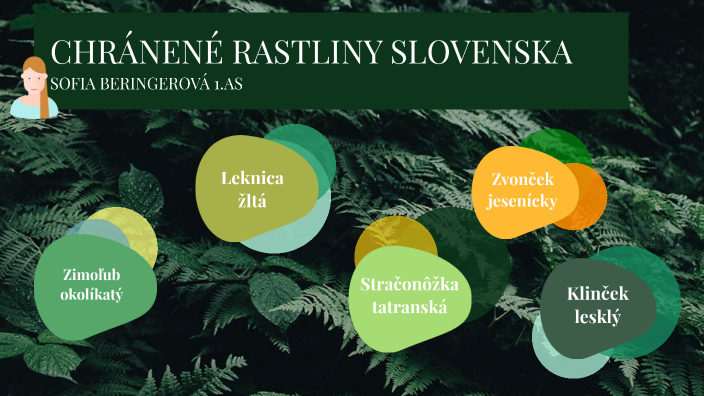 chránené rastliny Slovenska 19.2 2021 by Sofia Beringerova on Prezi