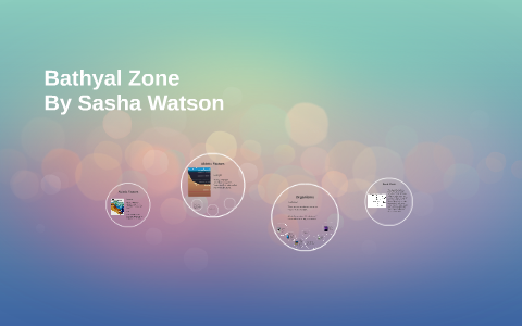 Bathyal Zone by Sasha Watson on Prezi