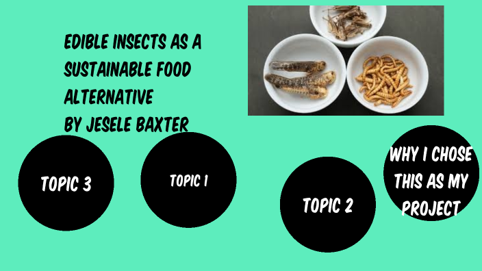 Edible Insects as a Sustainable Food Alternative by Jesele Baxter on Prezi
