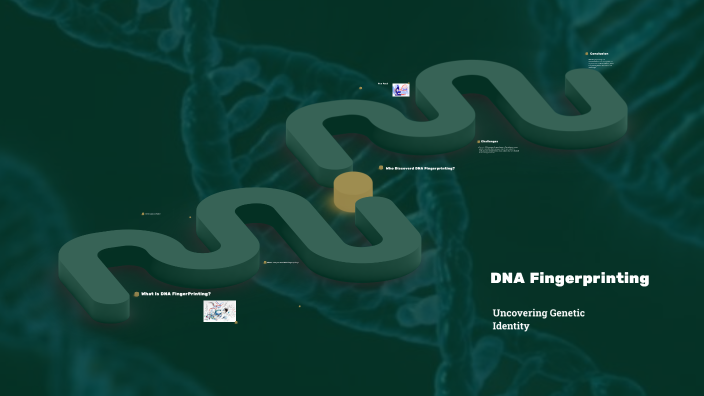 DNA Fingerprinting by Kyla Cook on Prezi