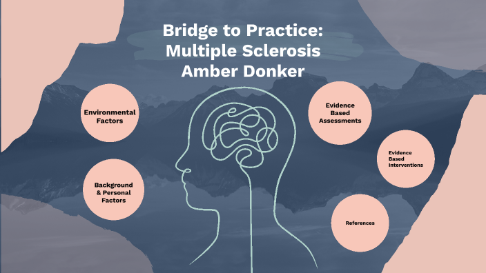 Bridge to practice by Amber Donker on Prezi