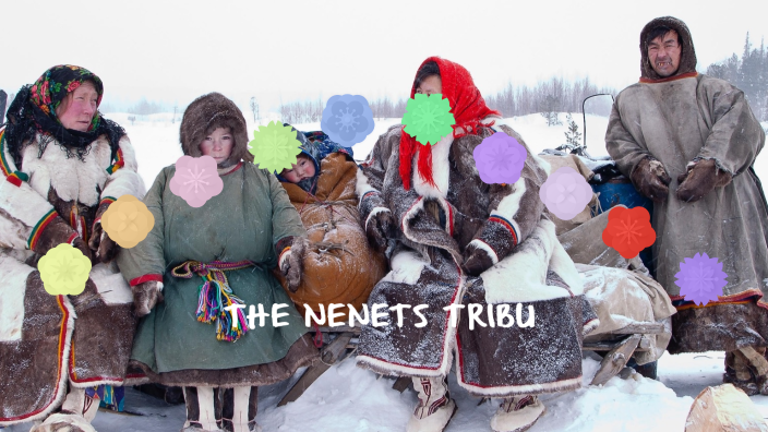 NENETS TRIBU by Carla Ferrara on Prezi