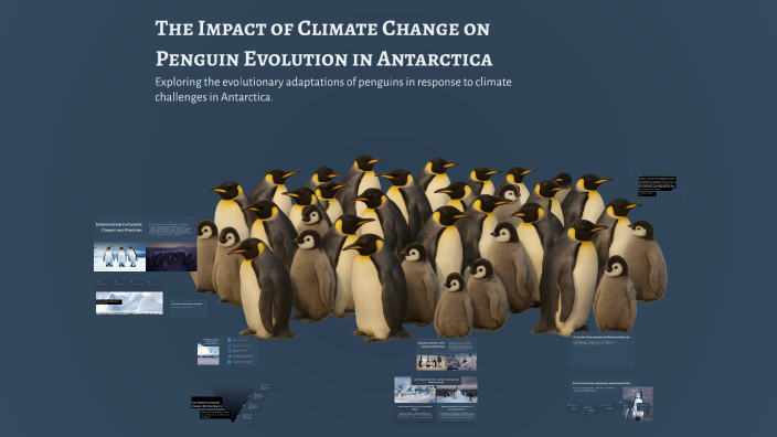 The Impact of Climate Change on Penguin Evolution in Antarctica by ...