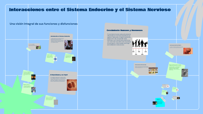 Interacciones entre el Sistema Endocrino y el Sistema Nervioso by Amada Mosquera on Prezi