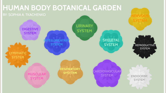World Body Tour Travel System Brochure by Sophia Tkachenko on Prezi
