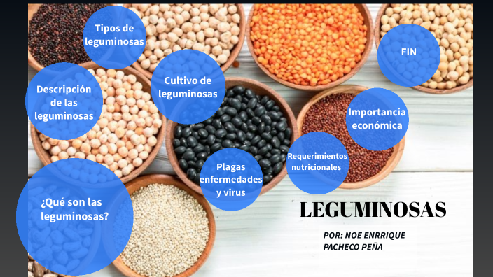 LEGUMINOSAS EXPO by Noe Enrrique Pacheco Peña on Prezi