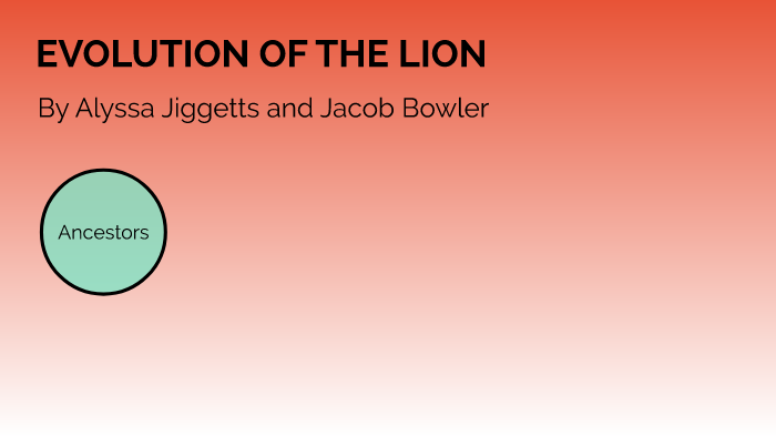 Evolution of the Lion by Jacob Bowler on Prezi