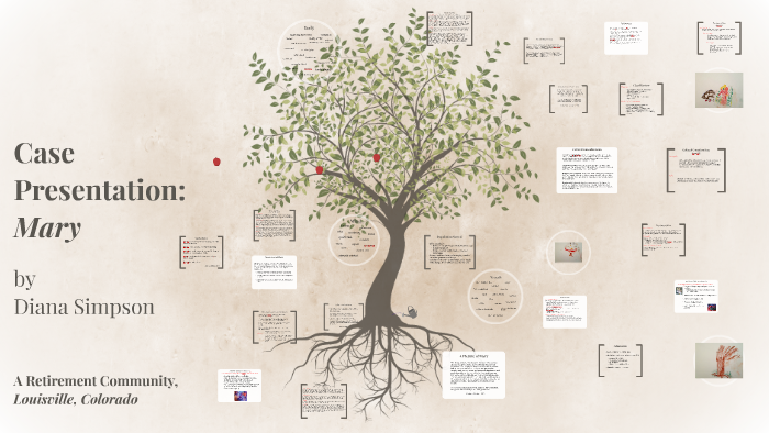 Practicum Case Study by D S on Prezi