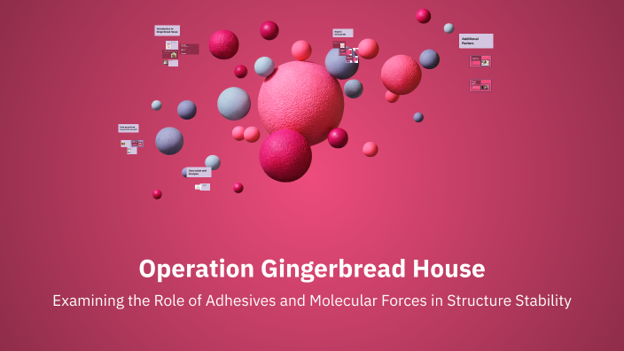 Operation Gingerbread House by Pranjali Kaithwas Louise Arbour ...