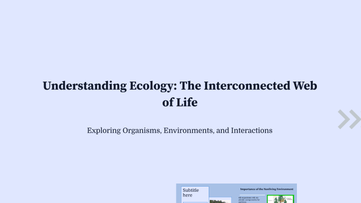 Understanding Ecology: The Interconnected Web of Life by May Sherif on ...