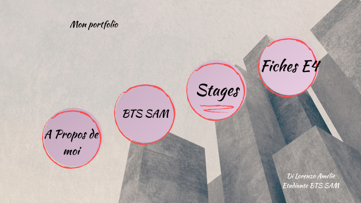 Di Lorenzo Portfolio STS SAM by Amélie Di Lorenzo on Prezi