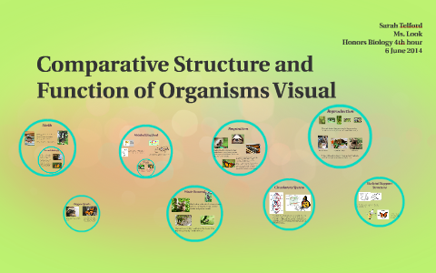 Comparative Structure and Function of Organisms Visual by Sarah Telford ...