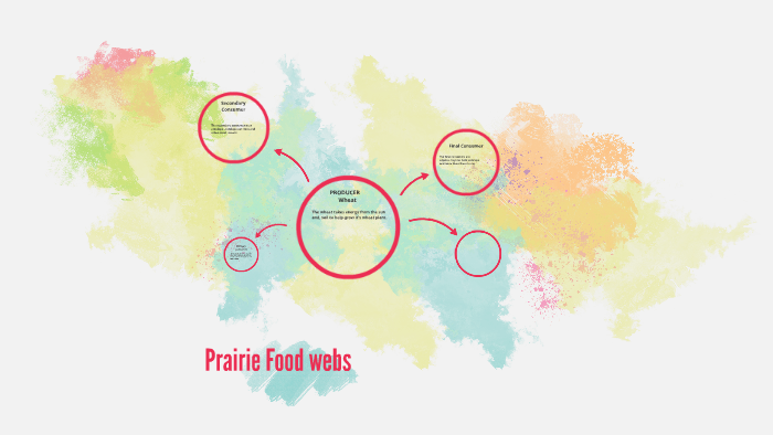 Prairie Life Cycle by Jillian Anderson on Prezi