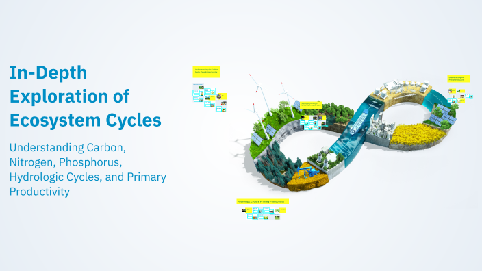In-Depth Exploration of Ecosystem Cycles by Sandy Kong on Prezi