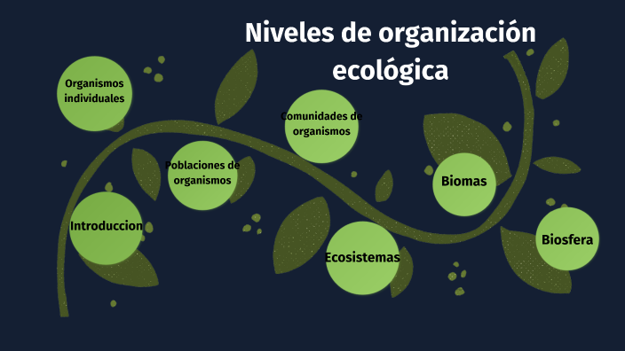 Presentación de niveles de organización ecologica by Bruno Espinoza de ...