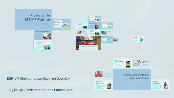 BEP/VIP Chemotherapy Regimen Overview by Alejandra Camargo on Prezi