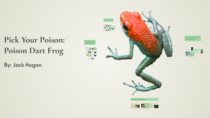 Pick Your Poison: Poison Dart Frog by Jack Hogan on Prezi