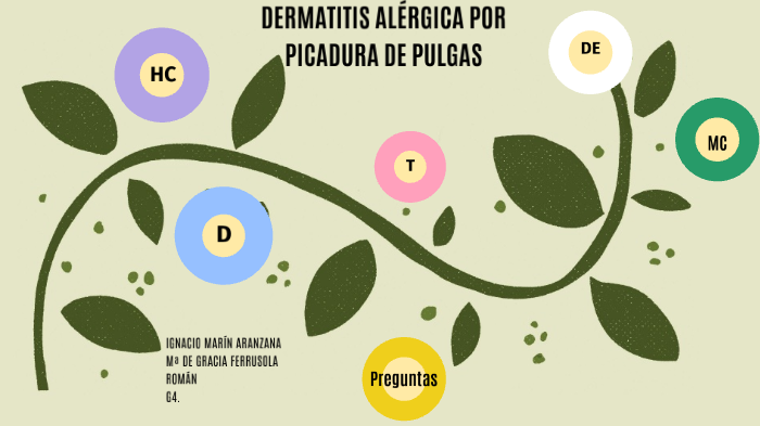 Dermatitis alérgica a la picadura de pulgas (flea allergy dermatitis ...