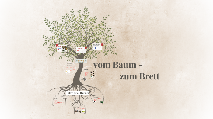 vom Baum - zum Brett by Christoph Heindl on Prezi