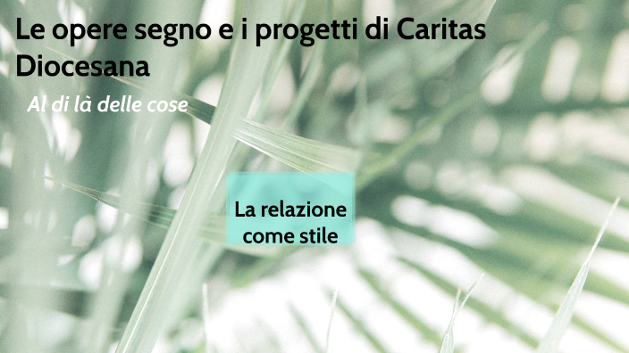 Le opere segno e i progetti di Caritas Diocesana by francesca ...