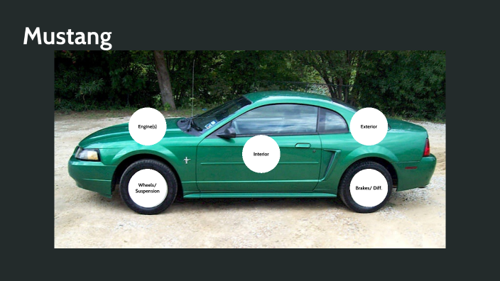 Mustang by Jeffery Herber on Prezi