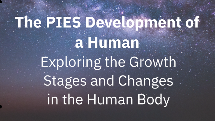 The Physical Development of a Human by Blake Bartholomew on Prezi