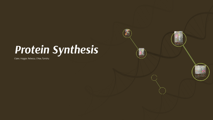 Protein Synthesis by Sam I Am on Prezi
