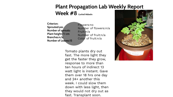 Plant Propagation Lab Weekly Report Week #8 by carthell nibbelin on Prezi