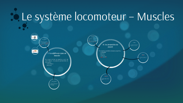 Le système locomoteur – Muscles by on Prezi