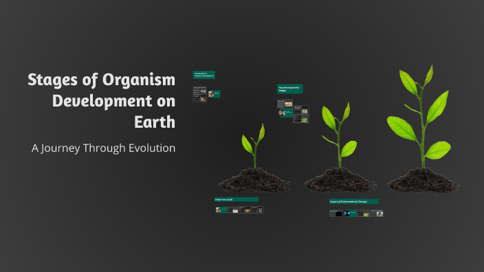 Stages of Organism Development on Earth by Kacpix on Prezi