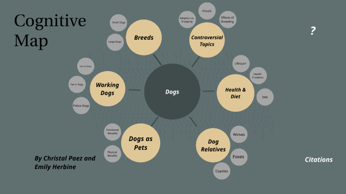 Dogs Cognitive Map by Christal Paez on Prezi