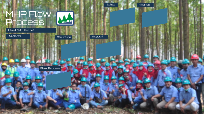 MHP Flow Process by danu diatama duta on Prezi