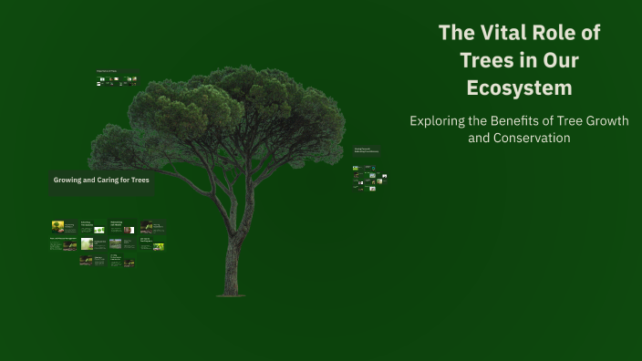 The Vital Role of Trees in Our Ecosystem by Beatrice K on Prezi