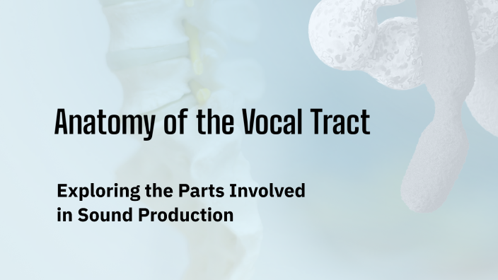 Anatomy of the Vocal Tract by Sohan Mia on Prezi