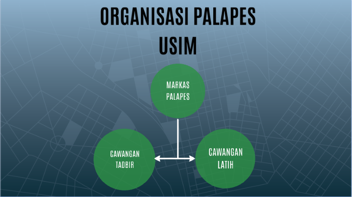 organisasi palapes usim by ahmad shukrie on Prezi