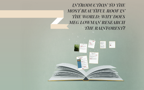 INTRODUCTION TO THE MOST BEAUTIFUL ROOF IN THE WORLD: WHY DO by Phap ...