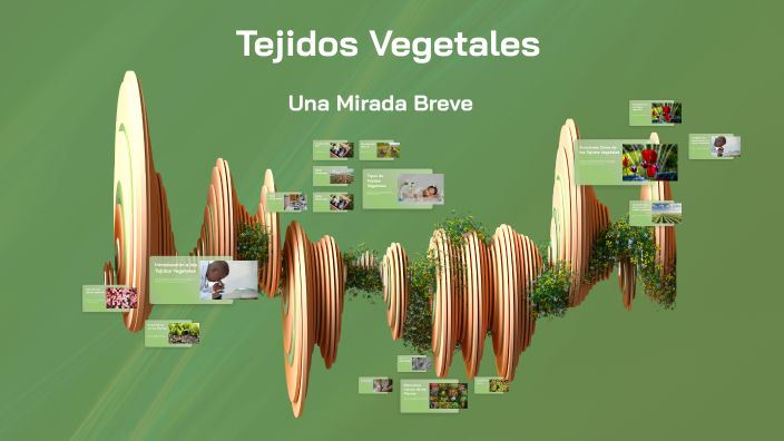 Tejidos Vegetales by NURIA KAROLINA GUZMAN MITE on Prezi