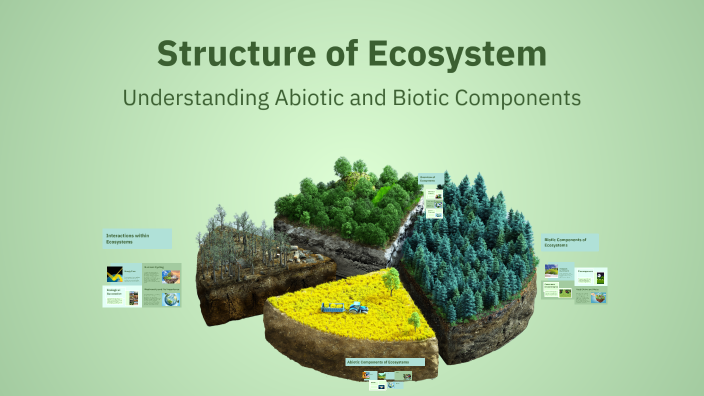 Structure of Ecosystem by Geography ksc on Prezi