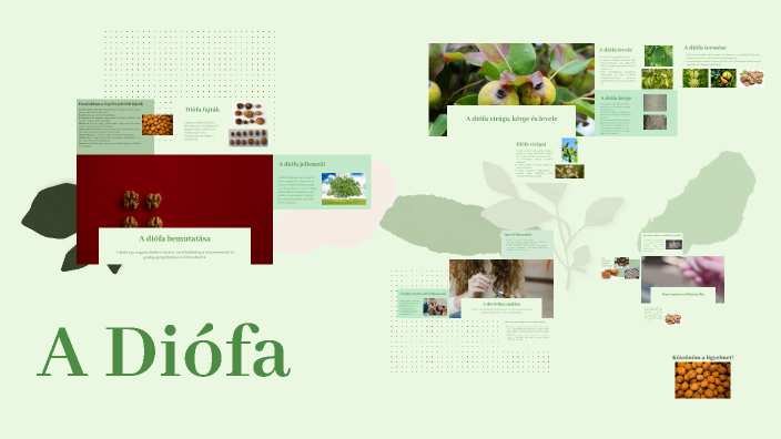 A diófa bemutatása by K. Zsófia on Prezi