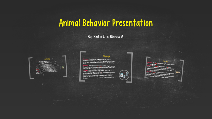 Animal Behavior Presentation by Bianca Alejandro