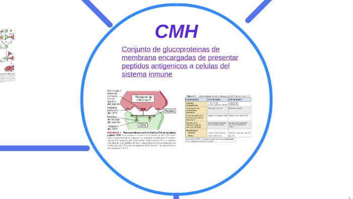 CMH by Joel García on Prezi