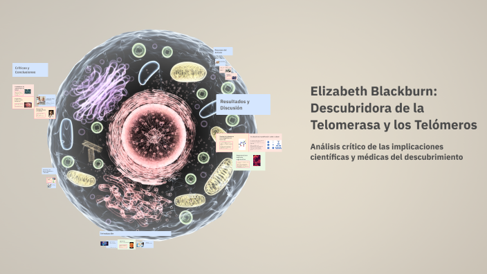 Elizabeth Blackburn: Descubridora de la Telomerasa y los Telómeros by ...