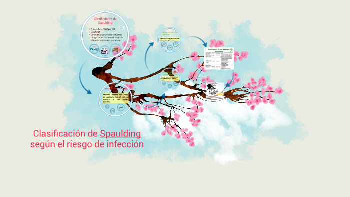 Clasificacion de Spaulding segun el riesgo de infeccion by Kyo Wolf on ...