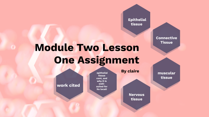 Module Two Lesson One Assignment by Claire S on Prezi