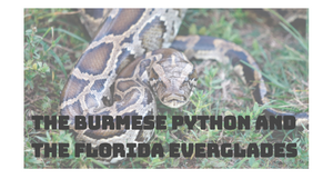 Invasive Species: The Burmese Python by Sahaj Gill on Prezi Design