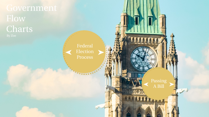 Zoe Government Flow Charts: Federal Election Process by Zoe and Eve on ...